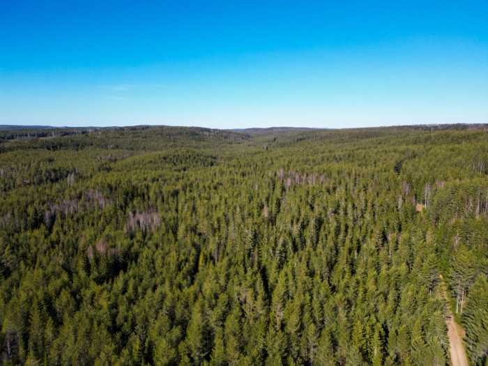 Areal - Värdera, sälja & köpa skog, mark & gård