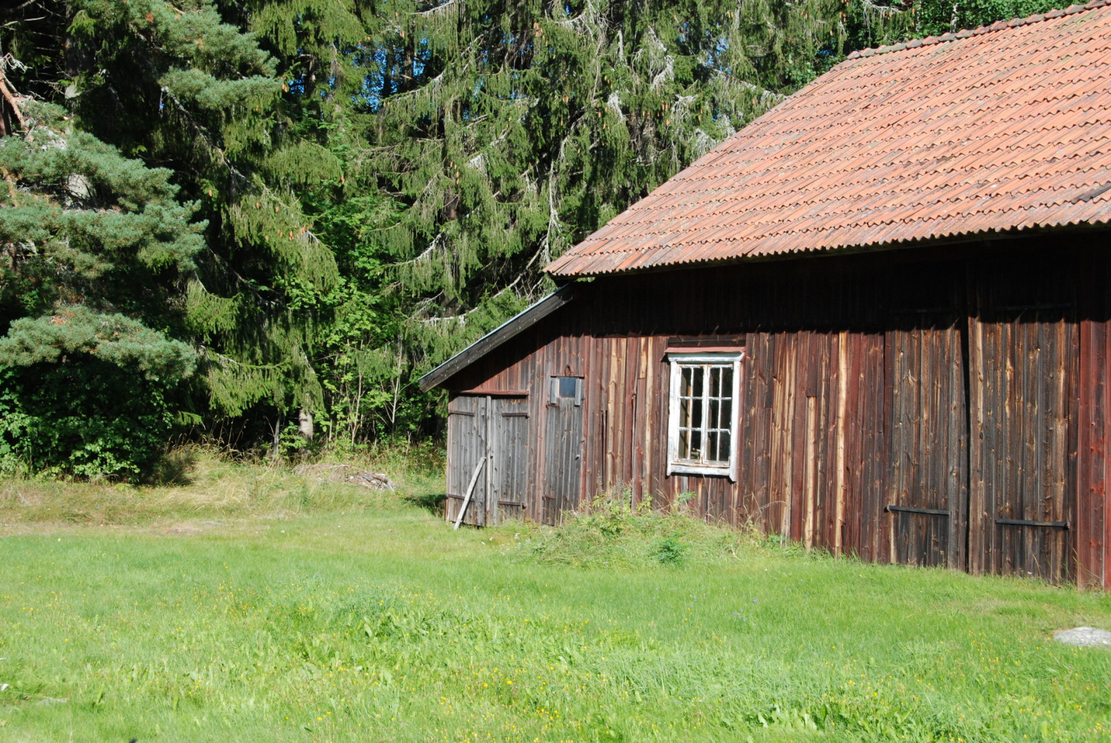Skog i Trödje - ArealAreal