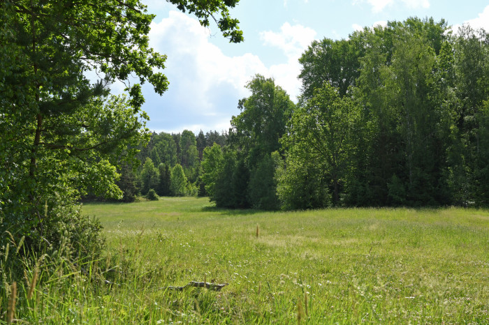 Areal - Värdera, sälja & köpa skog, mark & gård