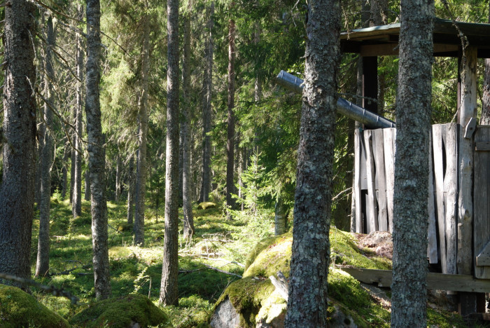 Skog i Trödje - ArealAreal